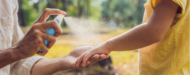Punture di insetti: riconoscerle, curarle, prevenirle