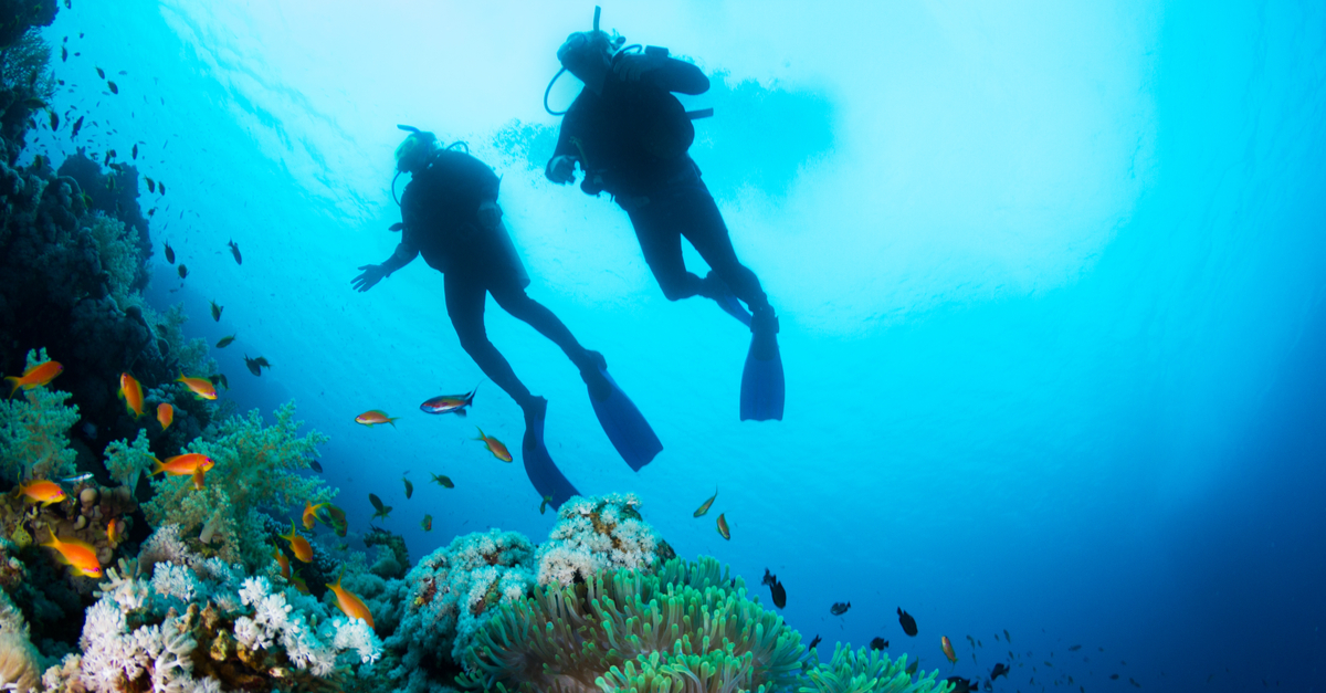 Idoneità per immersioni subacquee: quali accertamenti medici fare